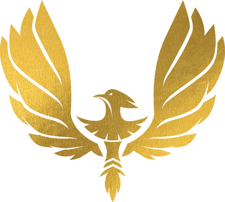 About - Phoenix Energy